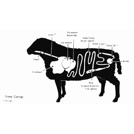 Natural Sheep Sausage Casings - Weschenfelder